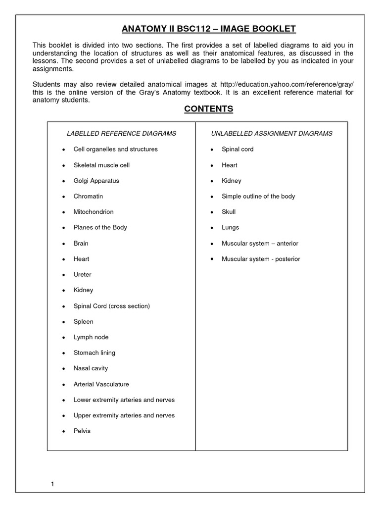 Anatomy II Image Booklet | PDF | Human Body | Anatomy