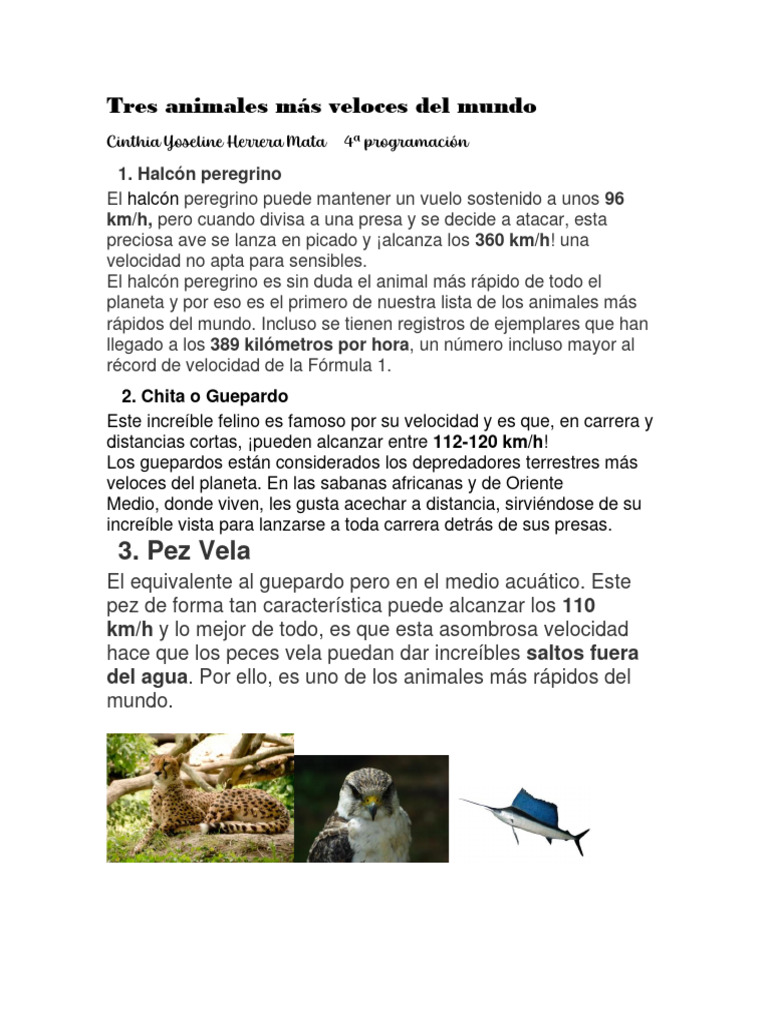 3 Animales | PDF | Hogar, jardinería y bricolaje