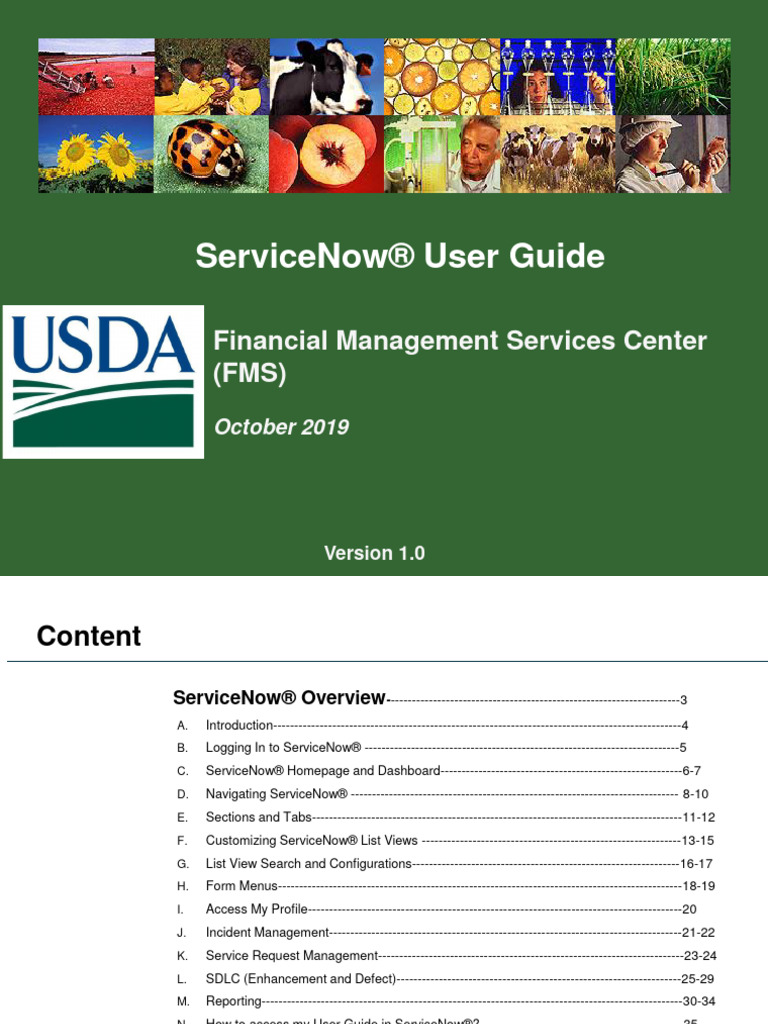ServiceNow User Guide | PDF | Comma Separated Values | Window (Computing)