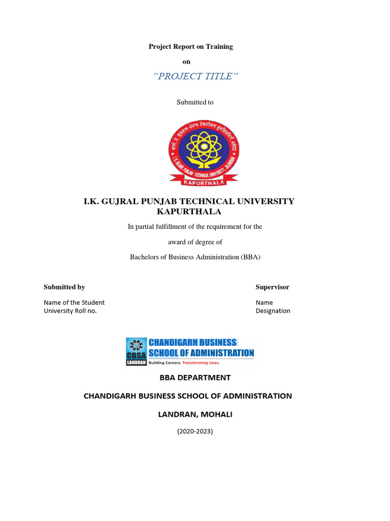 BBA Summer Training Project Report | PDF | American Psychiatric ...