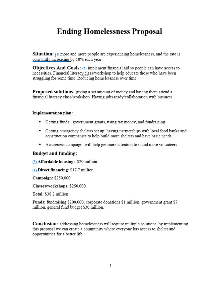 Ending Homelessness Proposal | PDF