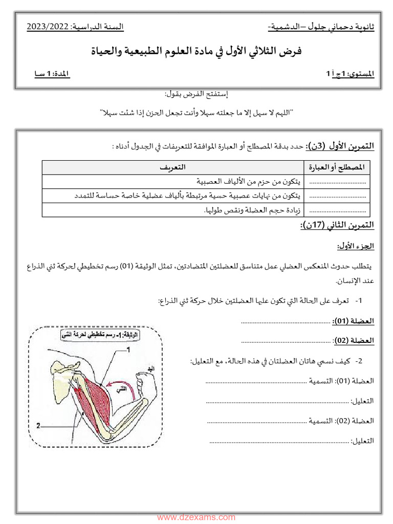 Dzexams 1as Sciences 538549 | PDF