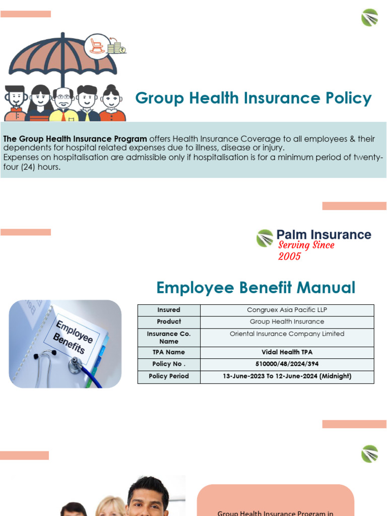 Group Health Insurance Program Overview | PDF | Insurance | Hospital