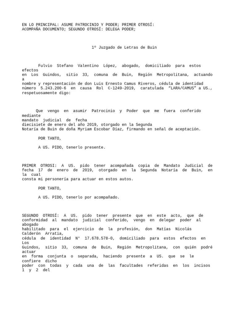 en Lo Principal Asume Patrocinio y Poder Primer Otrosi Acompana Documento Segundo Otrosi Delega ...