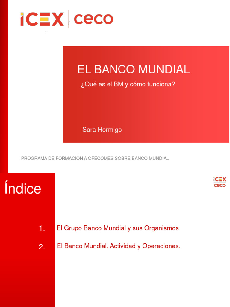 Que Es BM | PDF | Banco Mundial | Grupo del Banco Mundial