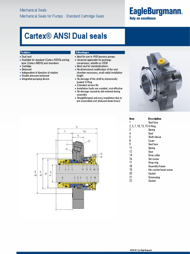 EagleBurgmann - Cartex® ANSI Dual Seals - EN | PDF