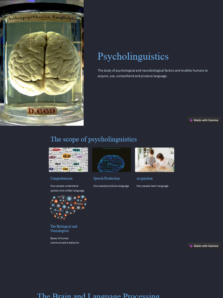 Psycholinguistics 2 Pdf Psycholinguistics Cognition