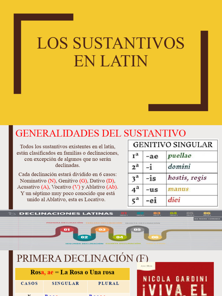 Los Sustantivos en Latin | PDF | Interpretación (filosofía) | Semiótica