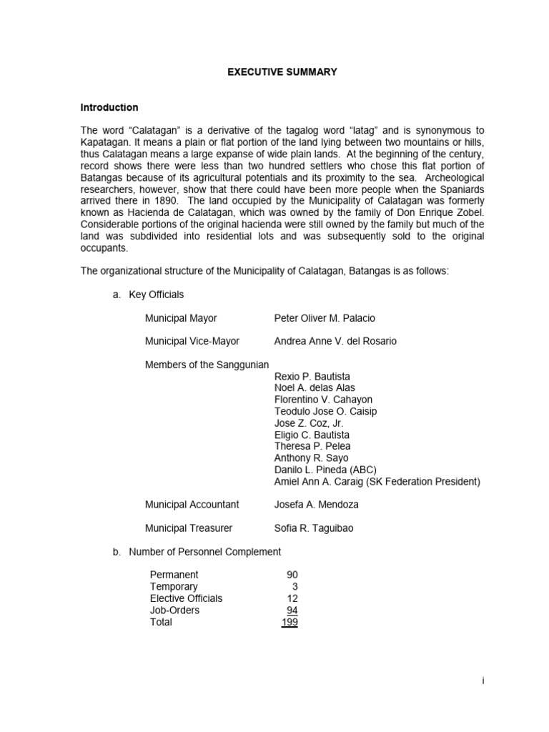Calatagan Mayor's Financial Audit Report | PDF | Municipal Solid Waste ...