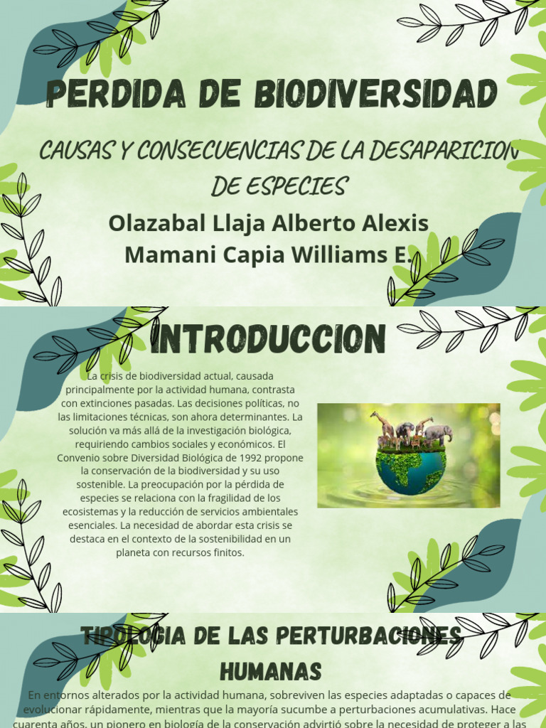 Biodiversidad - Alexis Olazabal | PDF | Destrucción del habitát ...
