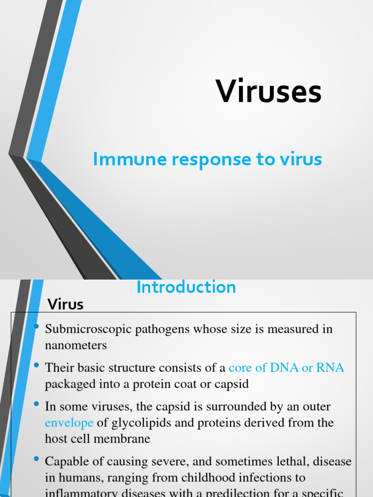 Immune To Viruses | PDF | Cytotoxic T Cell | Virus