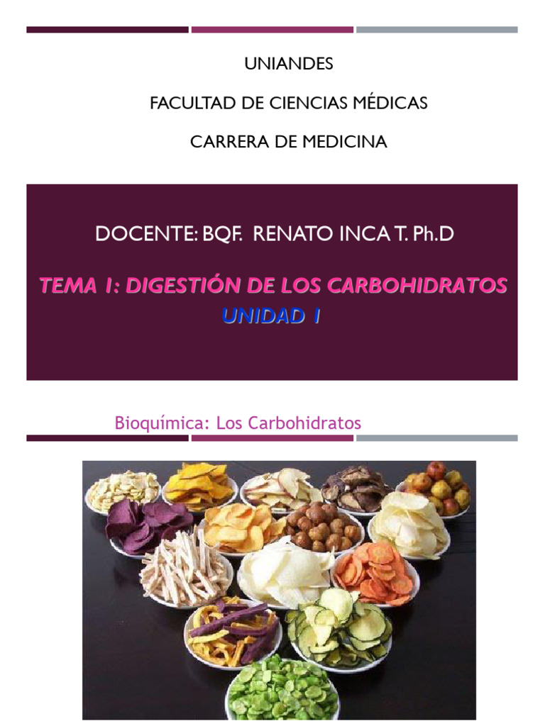 Unidad 1 Semana 1 | PDF | Digestión | Carbohidratos