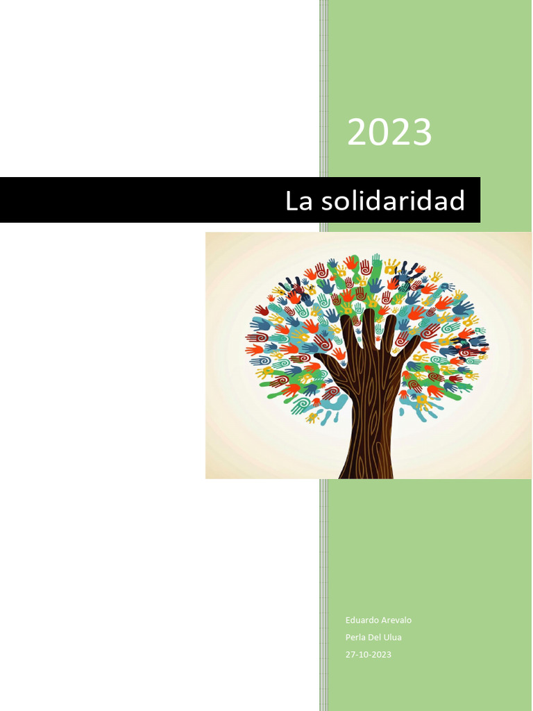 Informe Sobre La Solidaridad | PDF | Cooperación | Familia