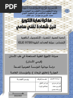 Dem - DZ Eph Meskiana | PDF