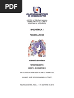 Guía de Proteoglicanos y Funciones | PDF | Biología estructural ...