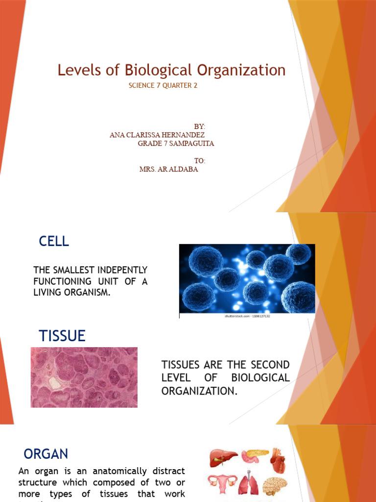 Levels of Biological Organization | PDF