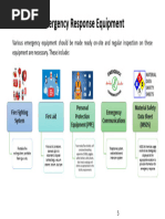 ERT Organizational Structure Overview | PDF