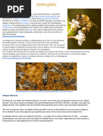 Eusocialidad en Insectos Sociales | PDF | Eusocialidad | Hormiga