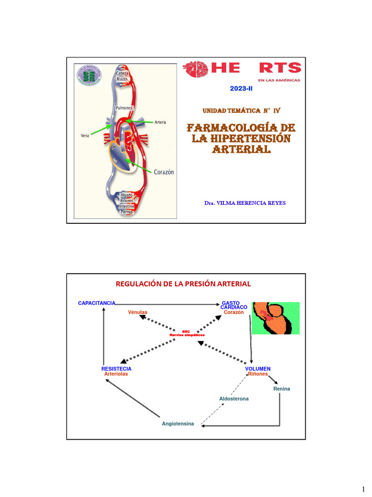 Farmacologia de La HTA 2023-II - VHR | PDF | Hipertensión | Drogas