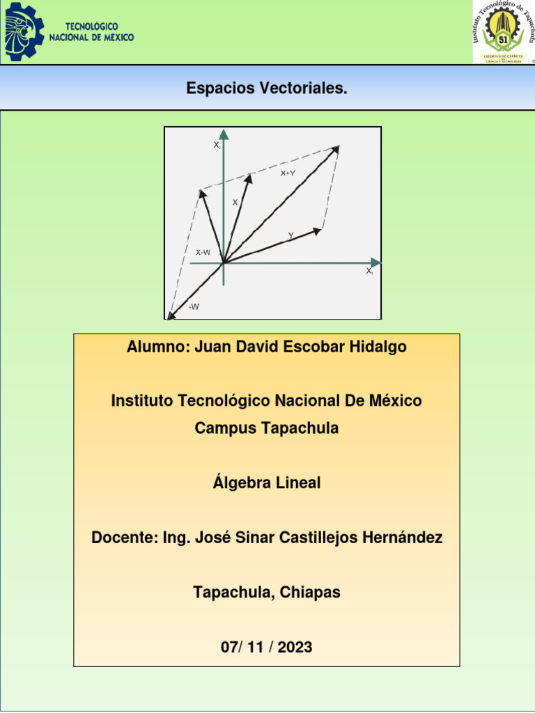 Introducción a Espacios Vectoriales | PDF | Espacio vectorial | Vector Euclidiano