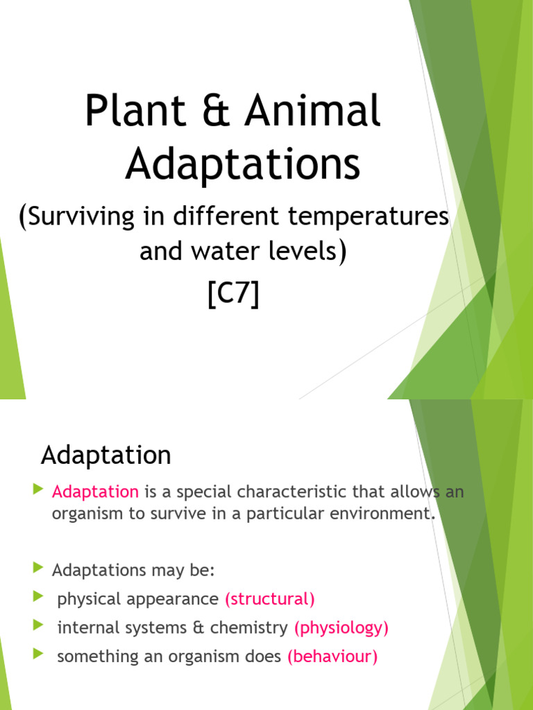 Adaptations of Plants and Animals | PDF | Adaptation | Habitat