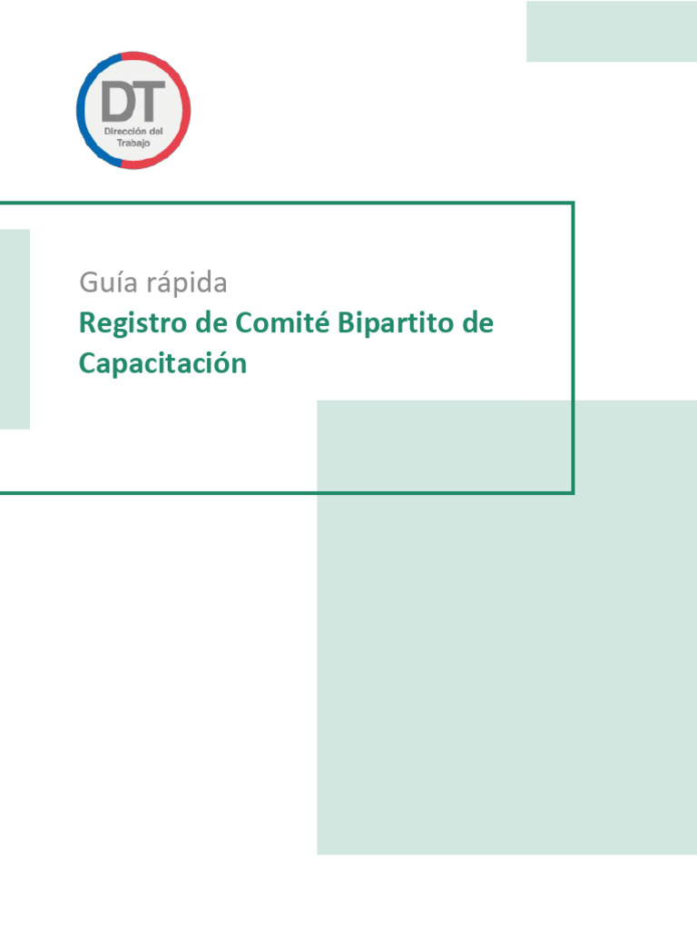 Guía Registro Comité Bipartito en Inspección | PDF | Informática
