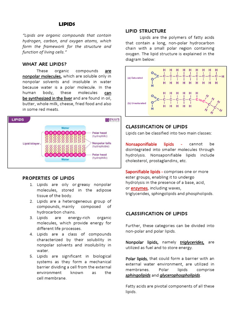 LIPIDS | PDF | Lipid | Fatty Acid
