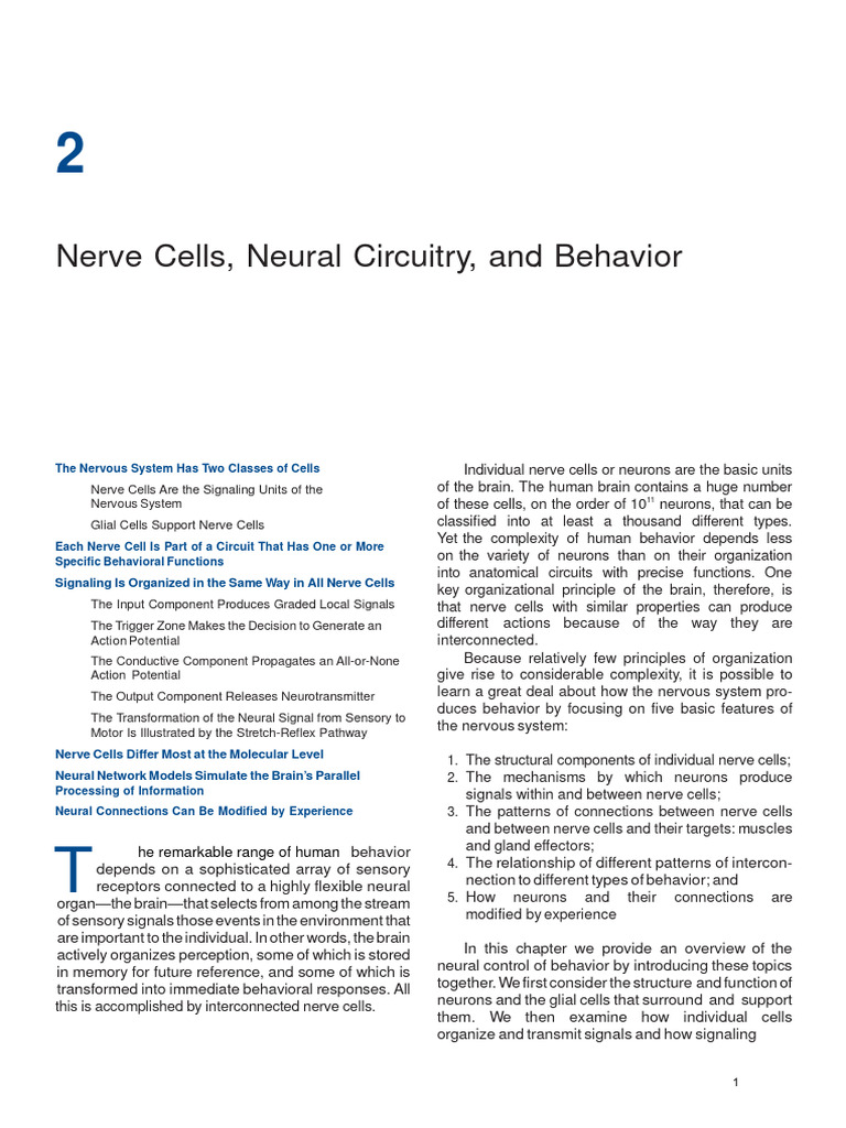 Chapter 2 Reading | PDF | Neuron | Axon