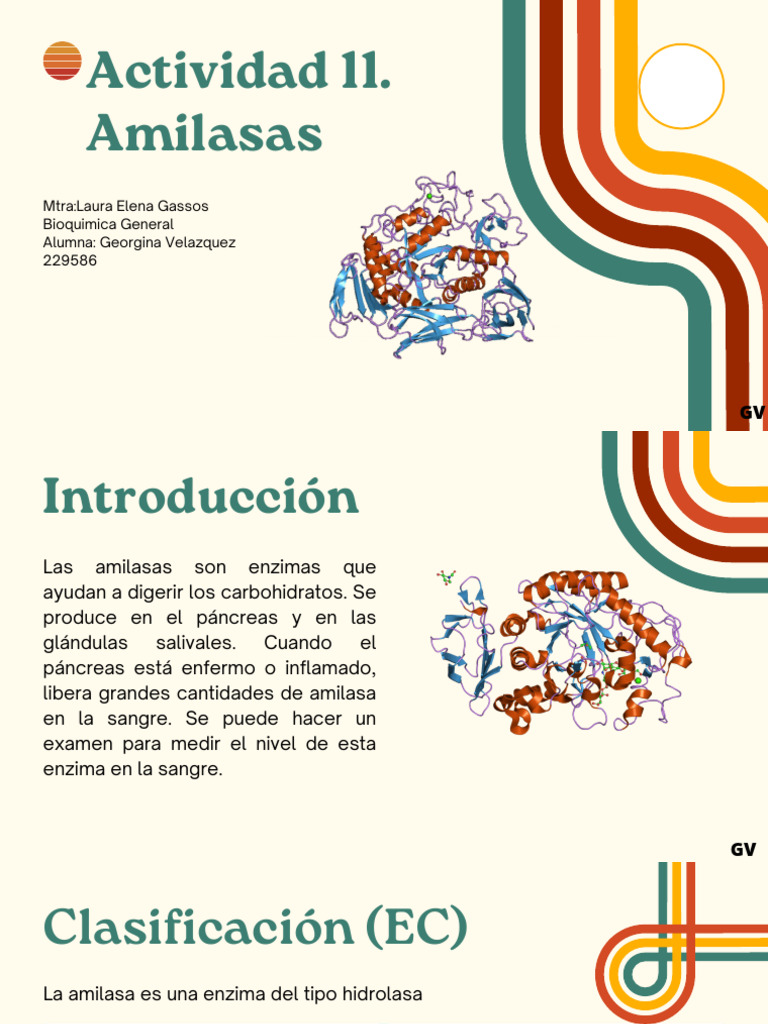 Act. 11 Amilasa | PDF