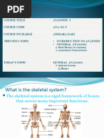 Mind Map. Skeletal System | PDF | Bone | Skeleton