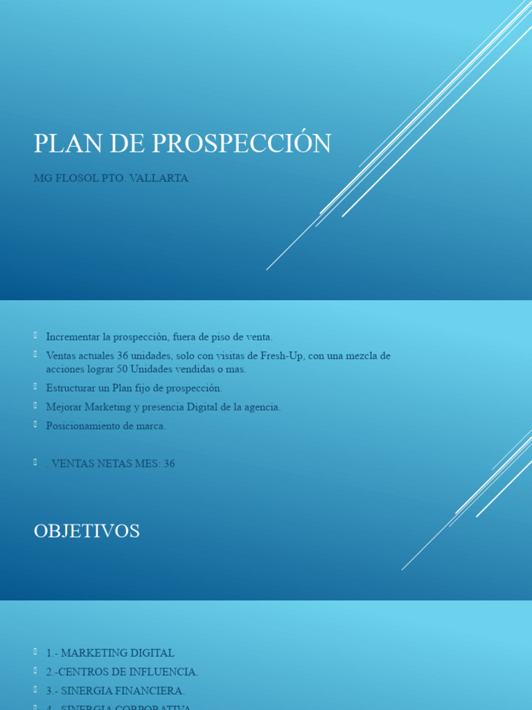 Plan de Prospeccion | PDF | Marketing | Economias