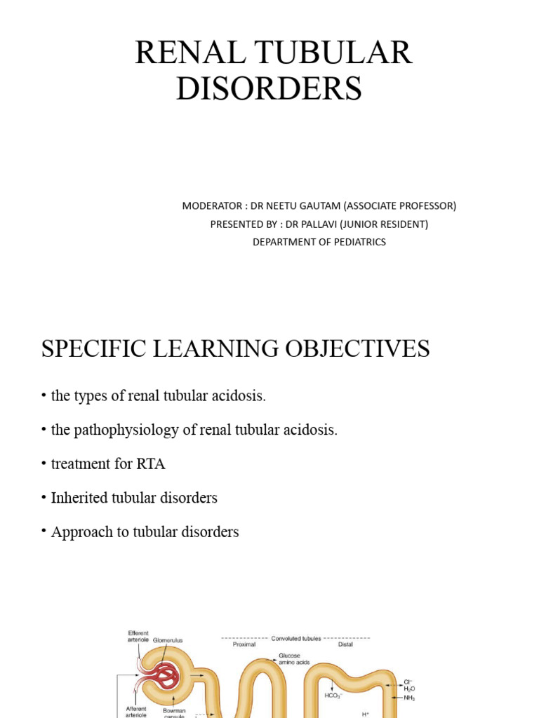 Renal Tubular Disorders | PDF | Urinary System | Endocrine System
