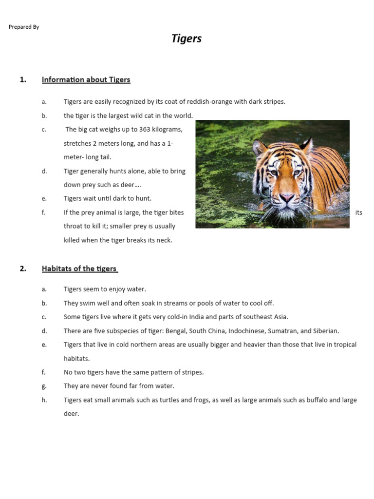 TigerV2 0 | PDF