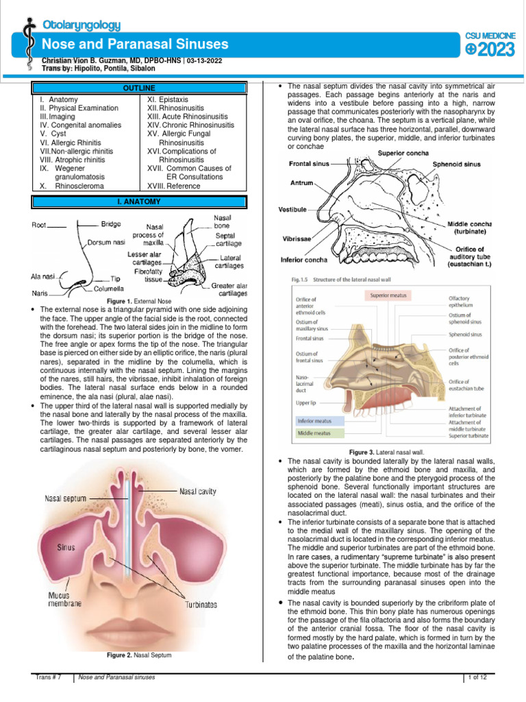 2023.ENT - Trans07.nose and Paranasal Sinuses 1 | PDF | Human Nose | Vein