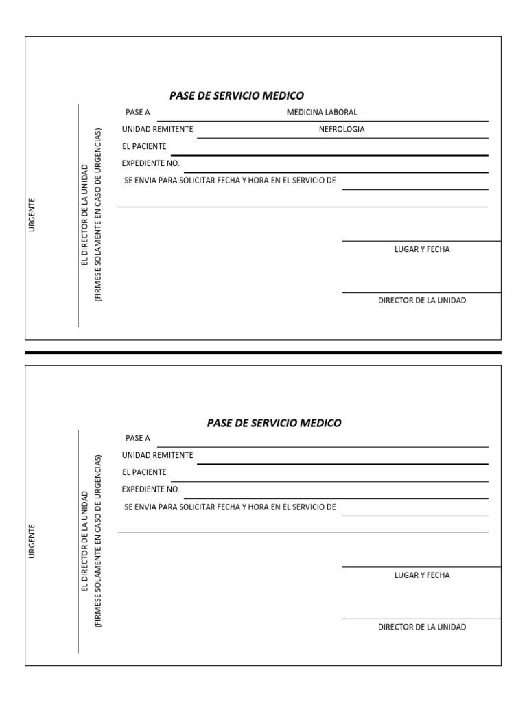 Formato Pase de Servicio Medico | PDF