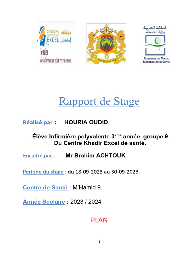 Rapport de stage infirmier M'Hamid 9 | PDF | Allaitement | Sciences de ...