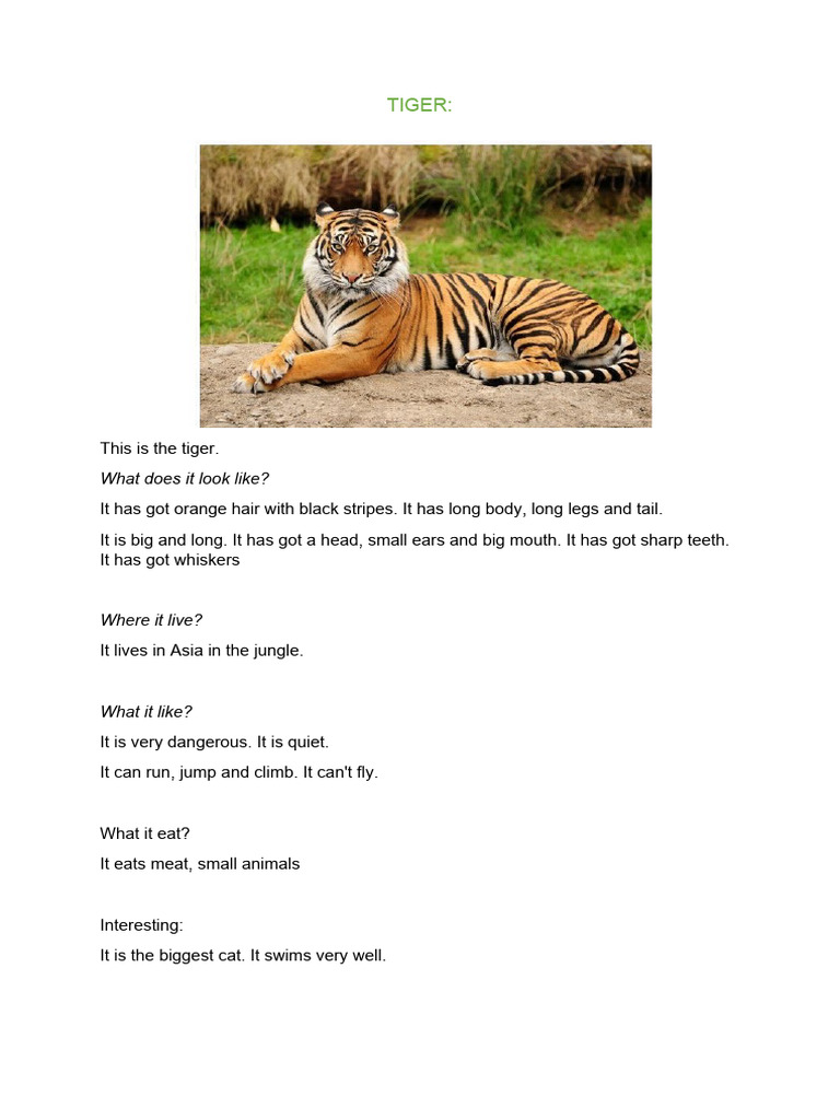 Opis živali tiger | PDF