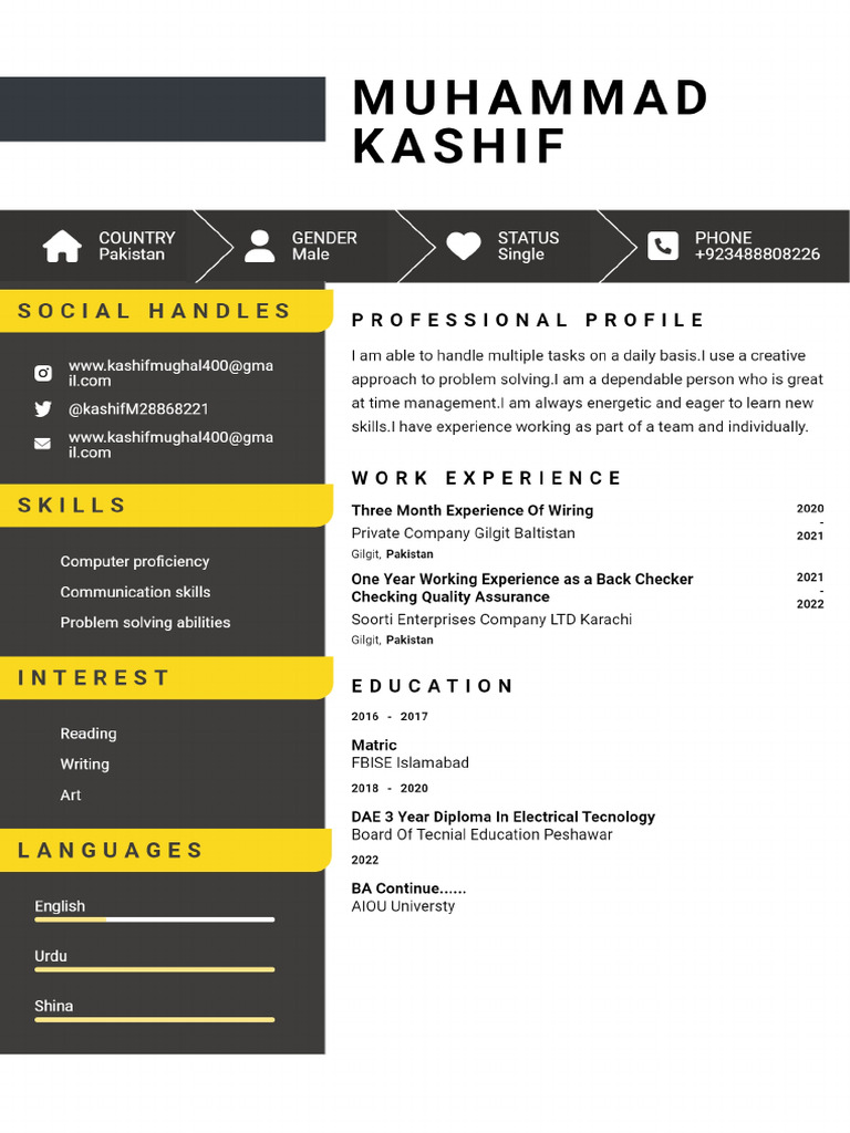Kashif Resume | PDF