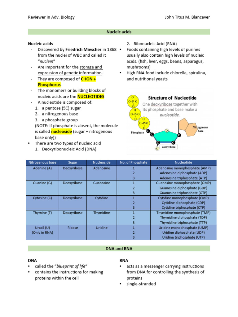 Reviewer-in-Adv.-Biology-Nucleic-acids by JTB | PDF | Rna | Dna