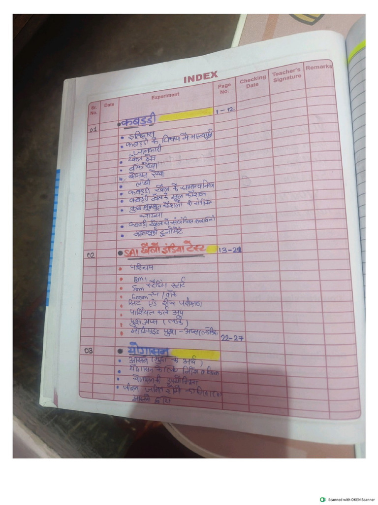 Physical Education Project Work | PDF