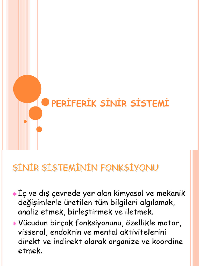 Periferik Sinir Sistemi | PDF