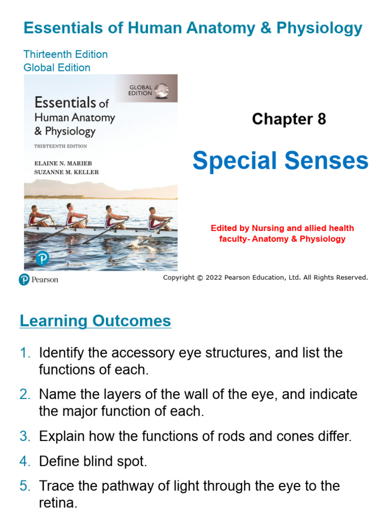 CH 08-The Special Senses - Edited Oct 2023 - Tagged | PDF | Ear ...