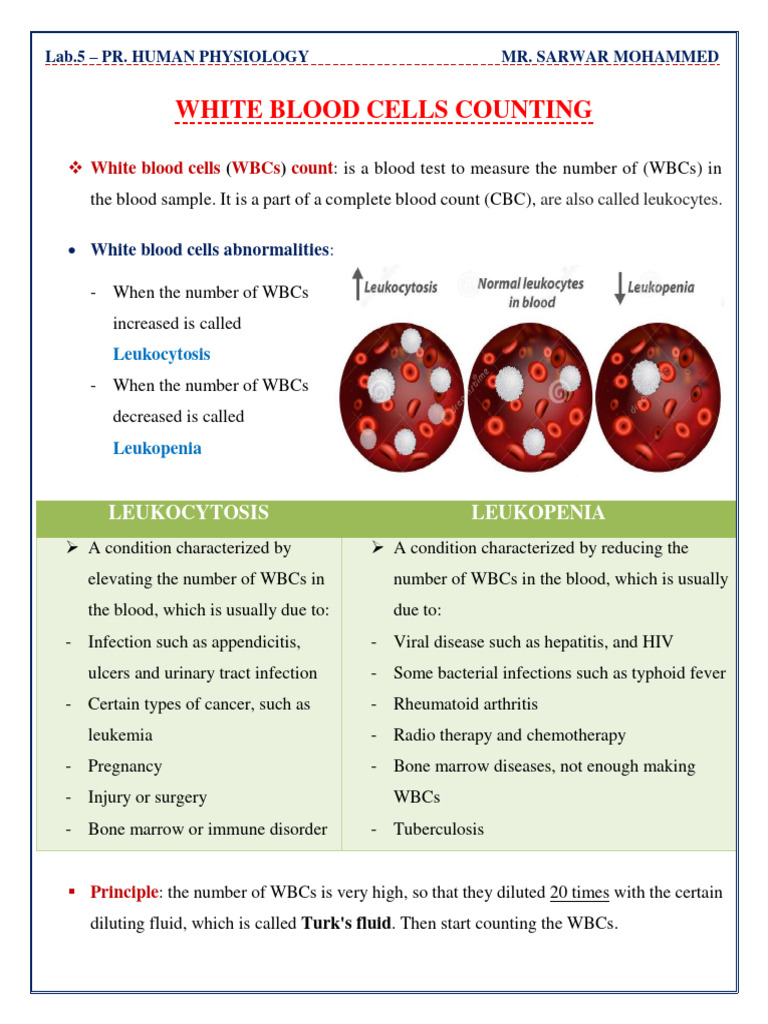 Lab.5 WBCs Counting | PDF | White Blood Cell | Immunology
