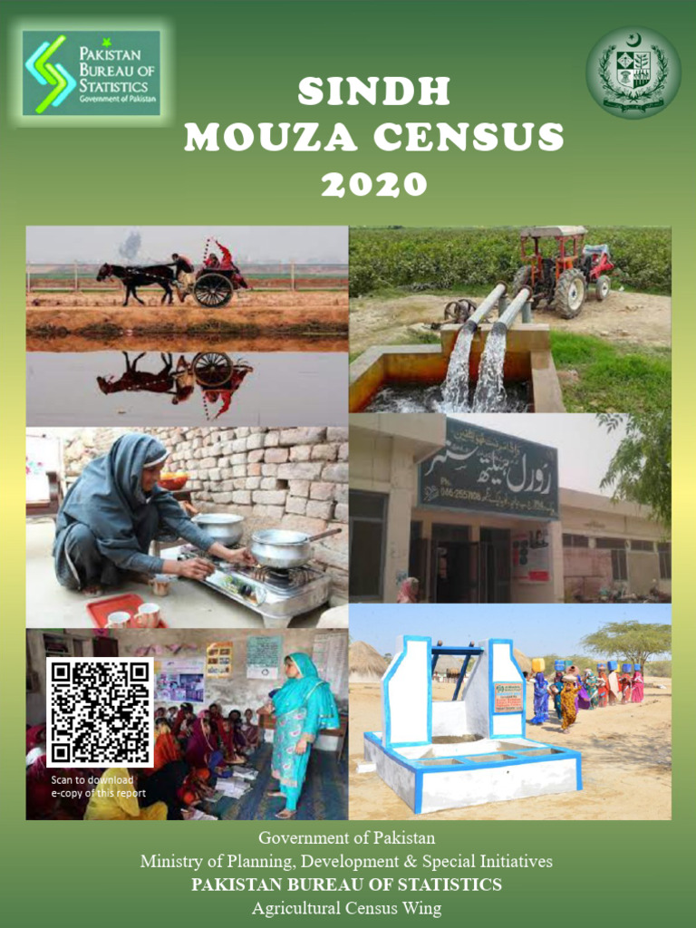 Sindh Mouza Census Report 2020 | PDF | Census | Agriculture