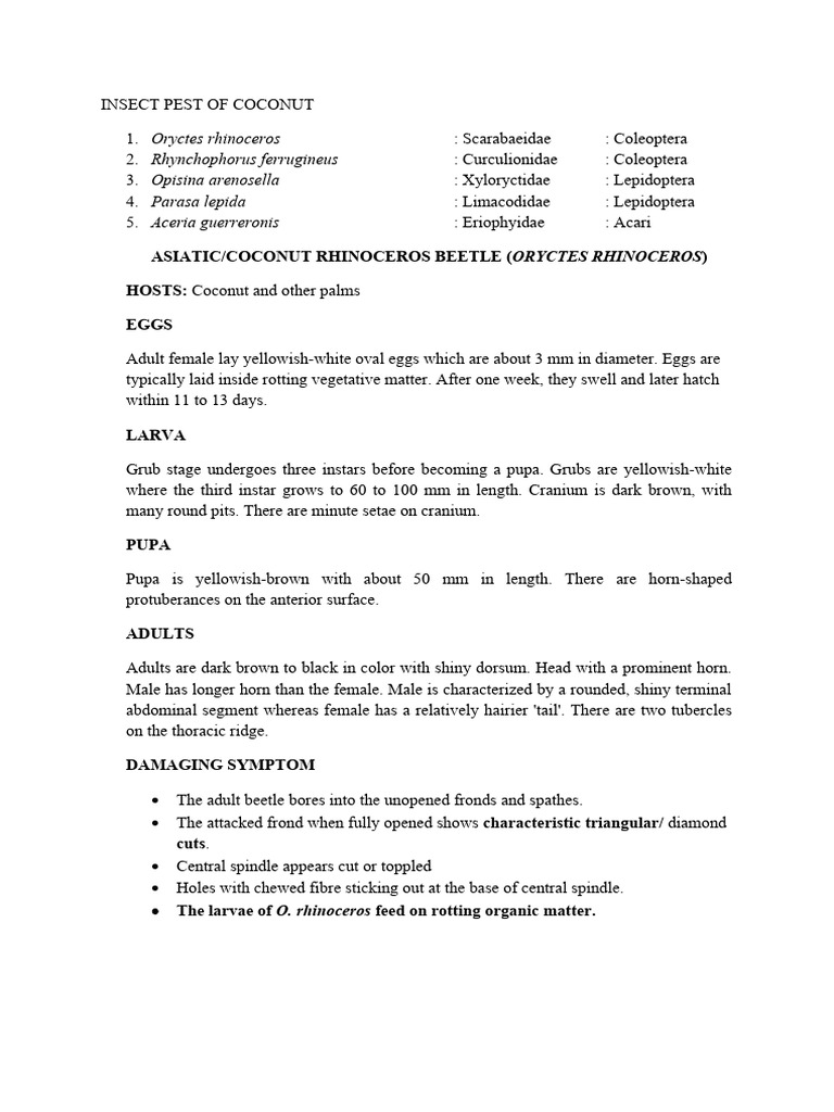 Insect Pest of Coconut | PDF | Insects | Hexapoda