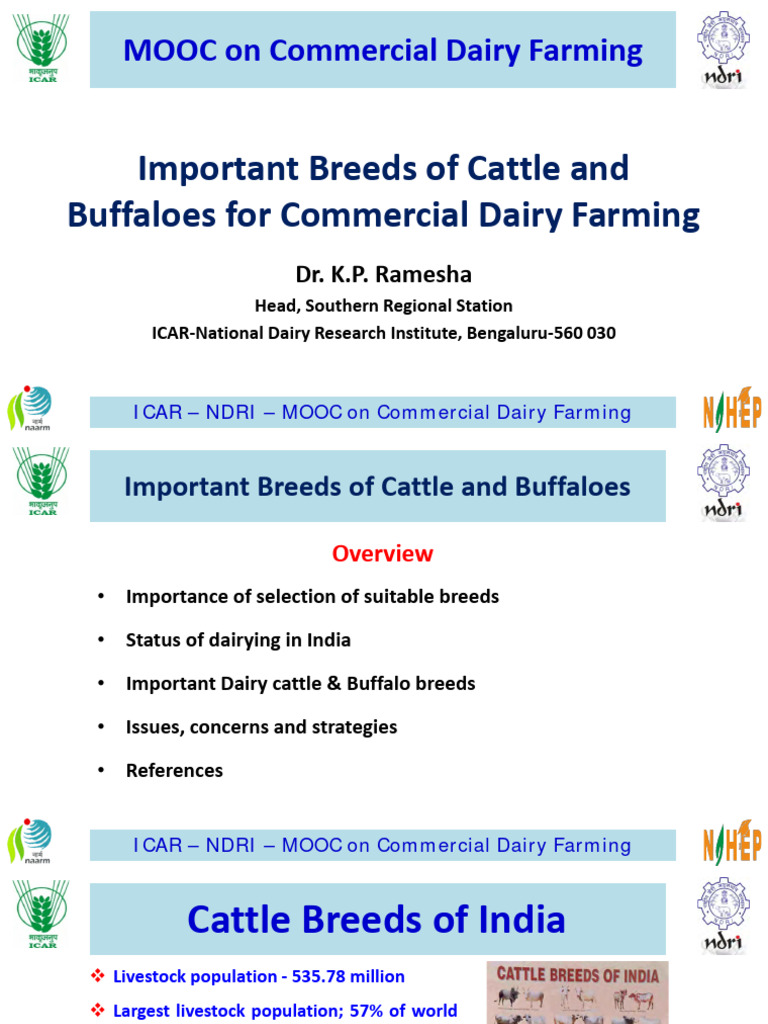Important Breeds of Cattle and Buffaloes For Commercial Dairy Farming ...