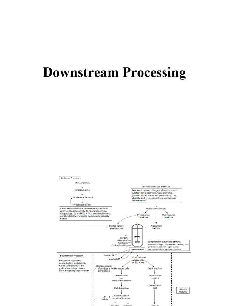 Downstream Process | PDF | Filtration | Centrifuge