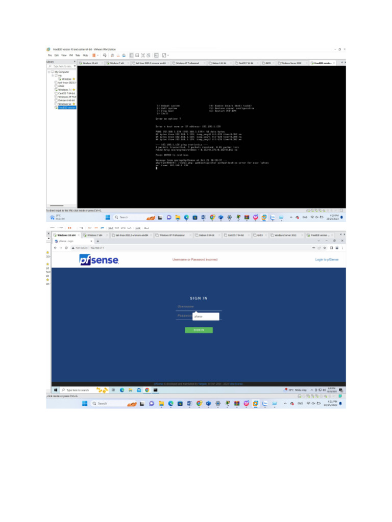 Cài Đặt Và Cấu Hình Suricata Trên pfSense | PDF
