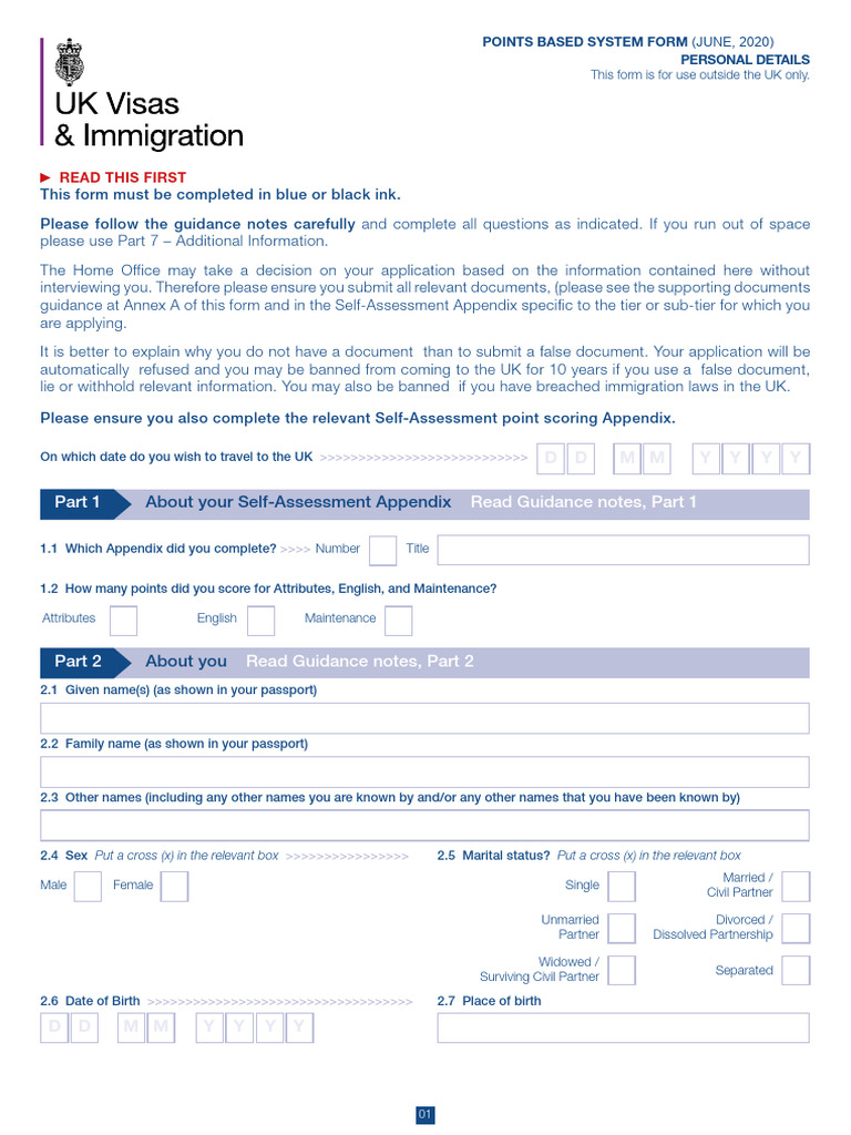 Visa Application Form | PDF | Travel Visa | Crimes