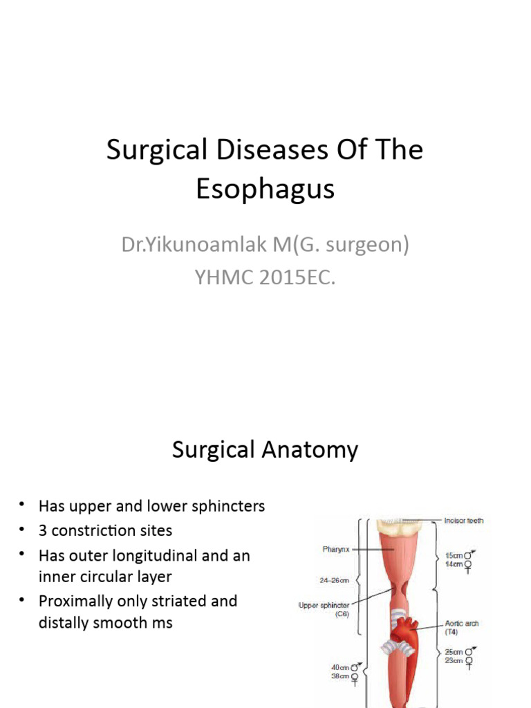 Surgical Diseases of The Esophagus | PDF | Esophagus | Gastroesophageal ...